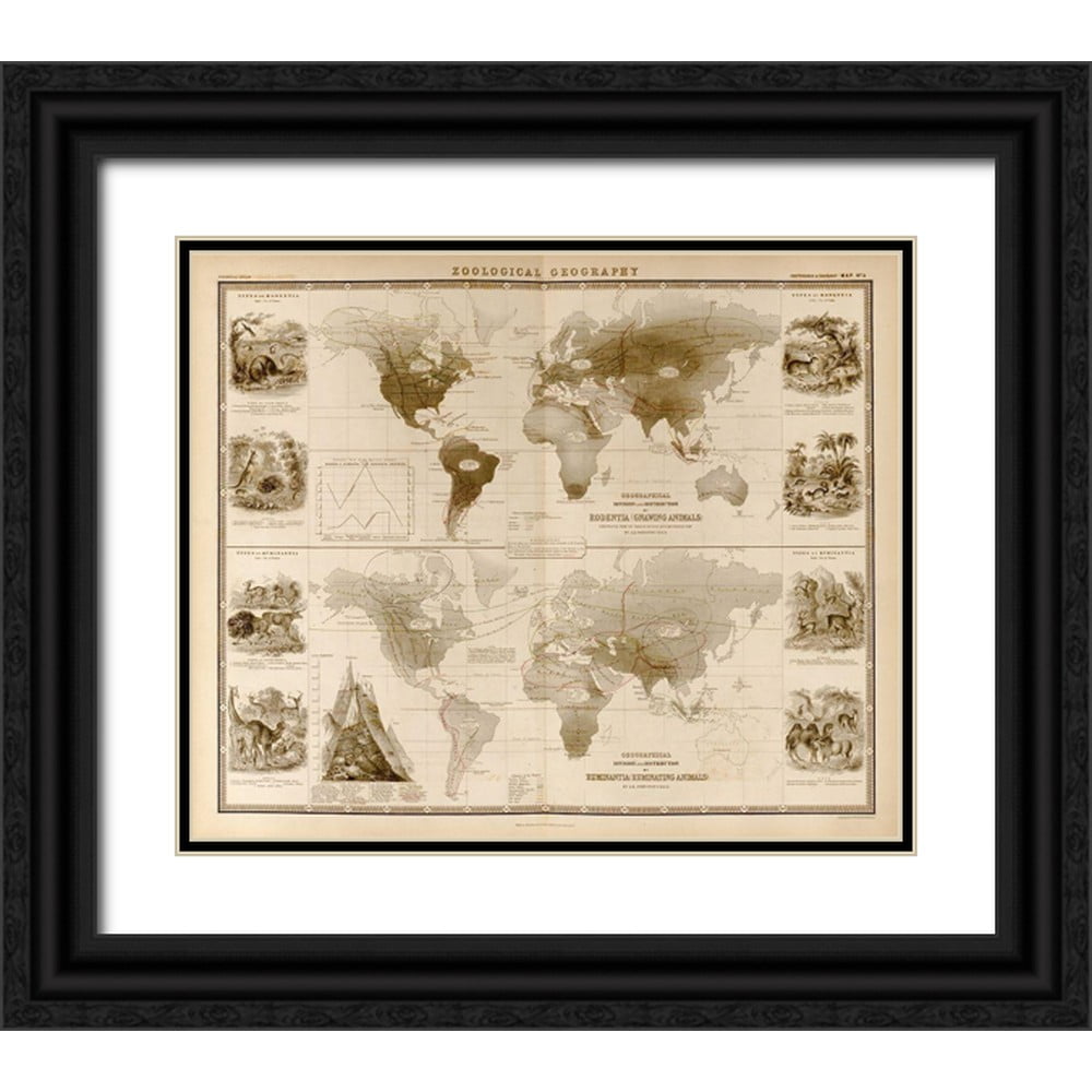 Vintage Maps 17x15 Black Ornate Wood Framed with Double Matting Museum ...