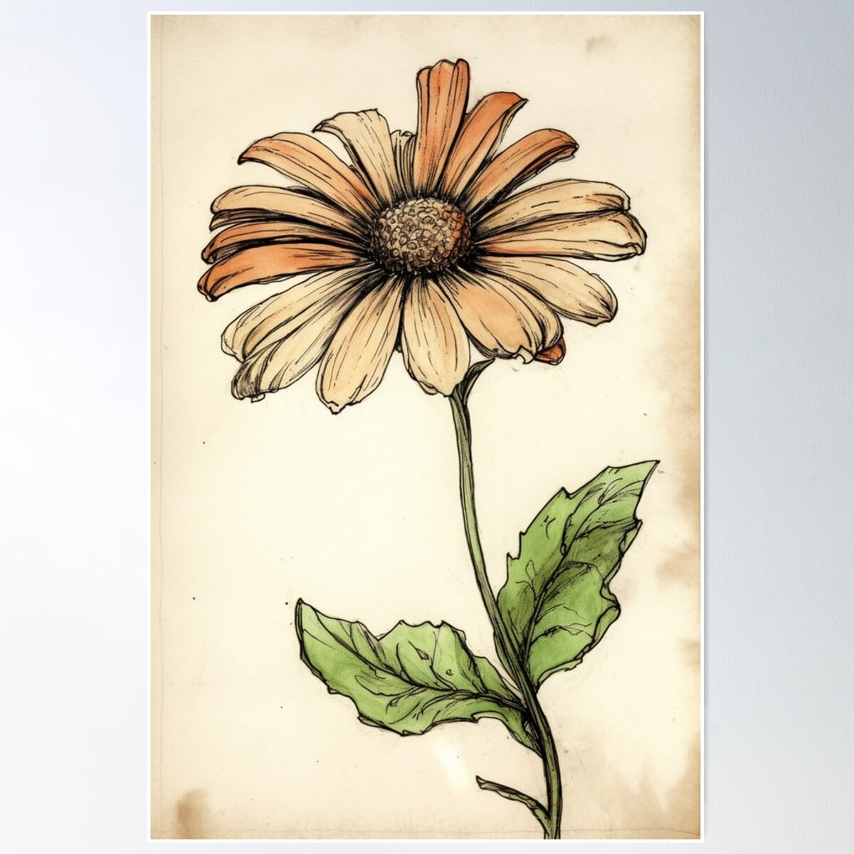 Vintage Marguerite Flower Watercolor Painting Poster Wall Art, Modern ...