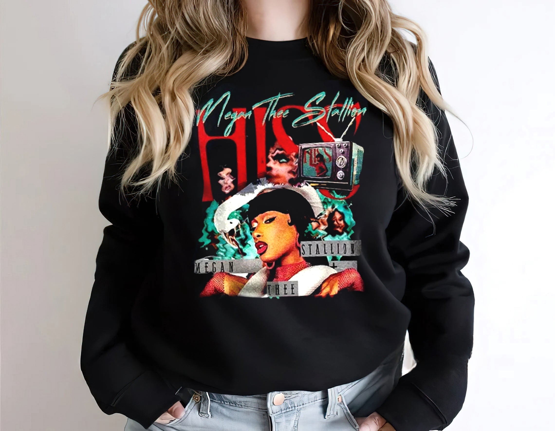 Vintage Megan Thee Stallion Hiss 90s Shirt Retro Megan Shirt For Fan ...