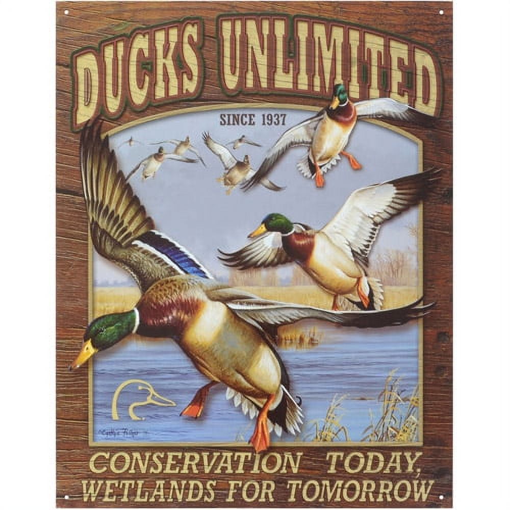 Ducks Unlimited Art Contest