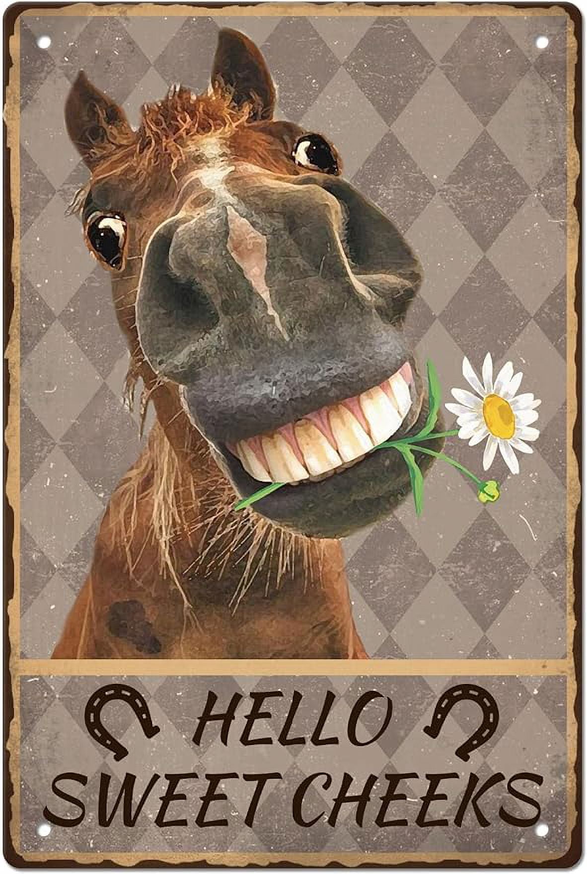 Vintage Metal Horse Tin Sign Funny Retro "Hello Sweet Cheeks" Metal ...