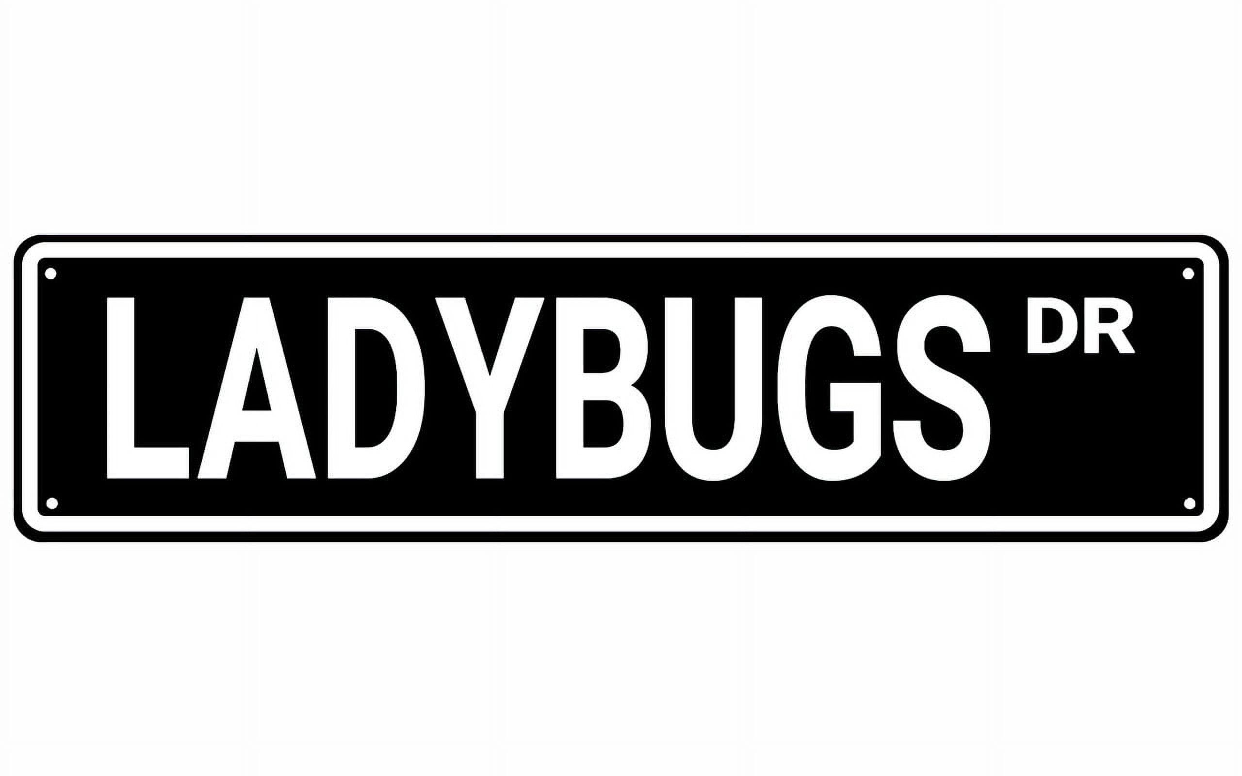 Vintage Metal Signs Ladybugs Dr Metal Tin Sign Plate Drive Way Road ...