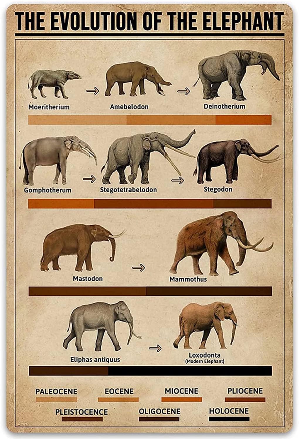 Vintage Metal Signs The Evolution of The Elephant Retro Tin Poster ...