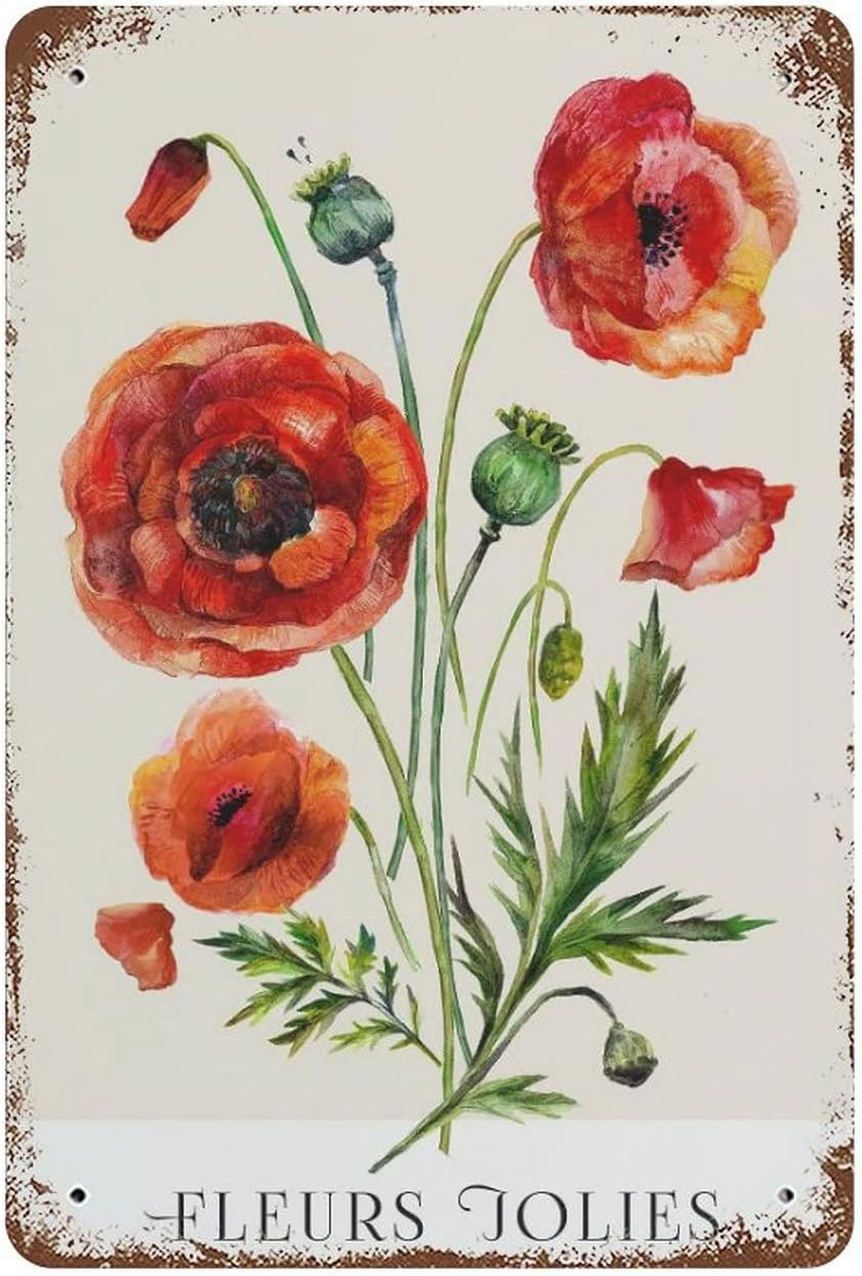 Vintage Metal Tin Sign Botanical Poppies Red Flower Valentine's Day ...