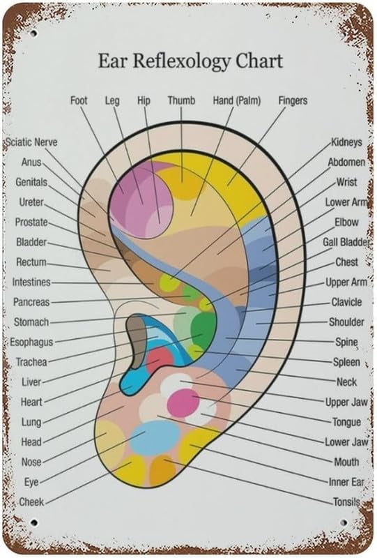 Vintage Metal Tin Sign Ear Reflexology Chart Poster Chart Sign Colour ...