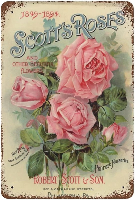 Vintage Metal Tin Sign Flowers Pink Roses Floral Nature Plants ...