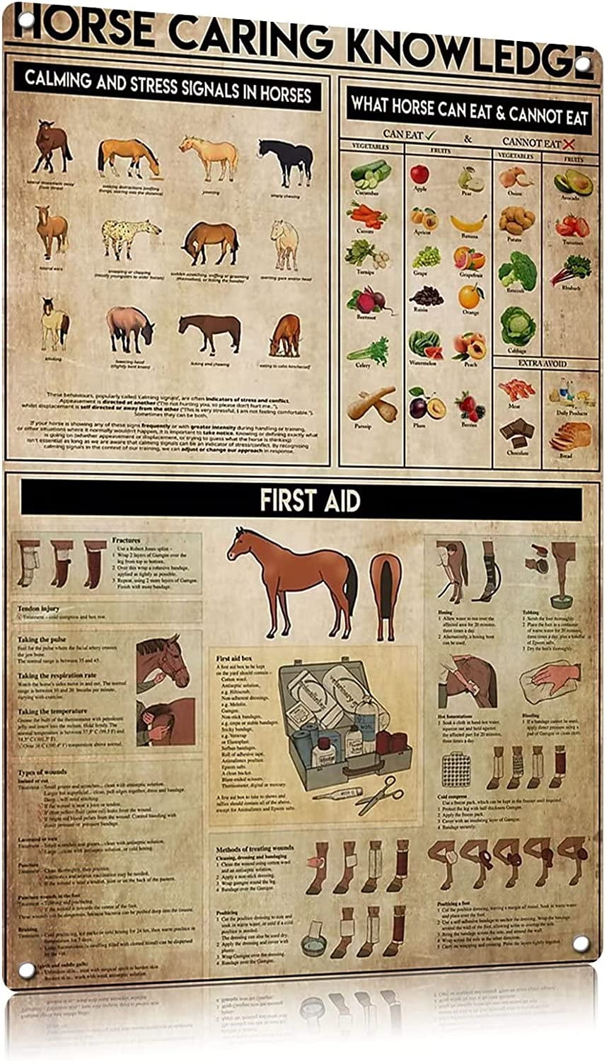 Vintage Metal Tin Sign Infographic Plaque Animal Science Poster Horse ...