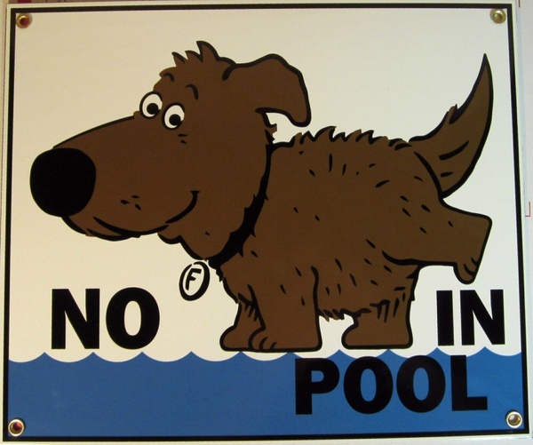 Vintage Metal Tin Sign No Peeing In Pool Funny Dog Pool Outdoor Yard ...