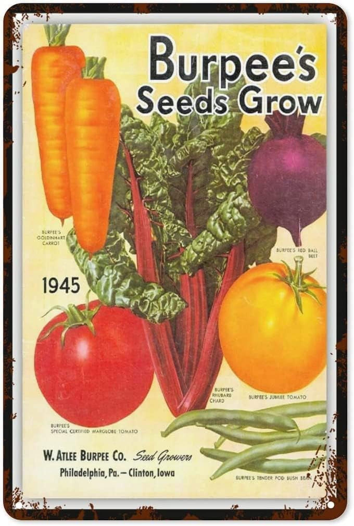 Vintage Metal Tin Sign for Plant Vegetable Seed Catalogue Cover Garden ...