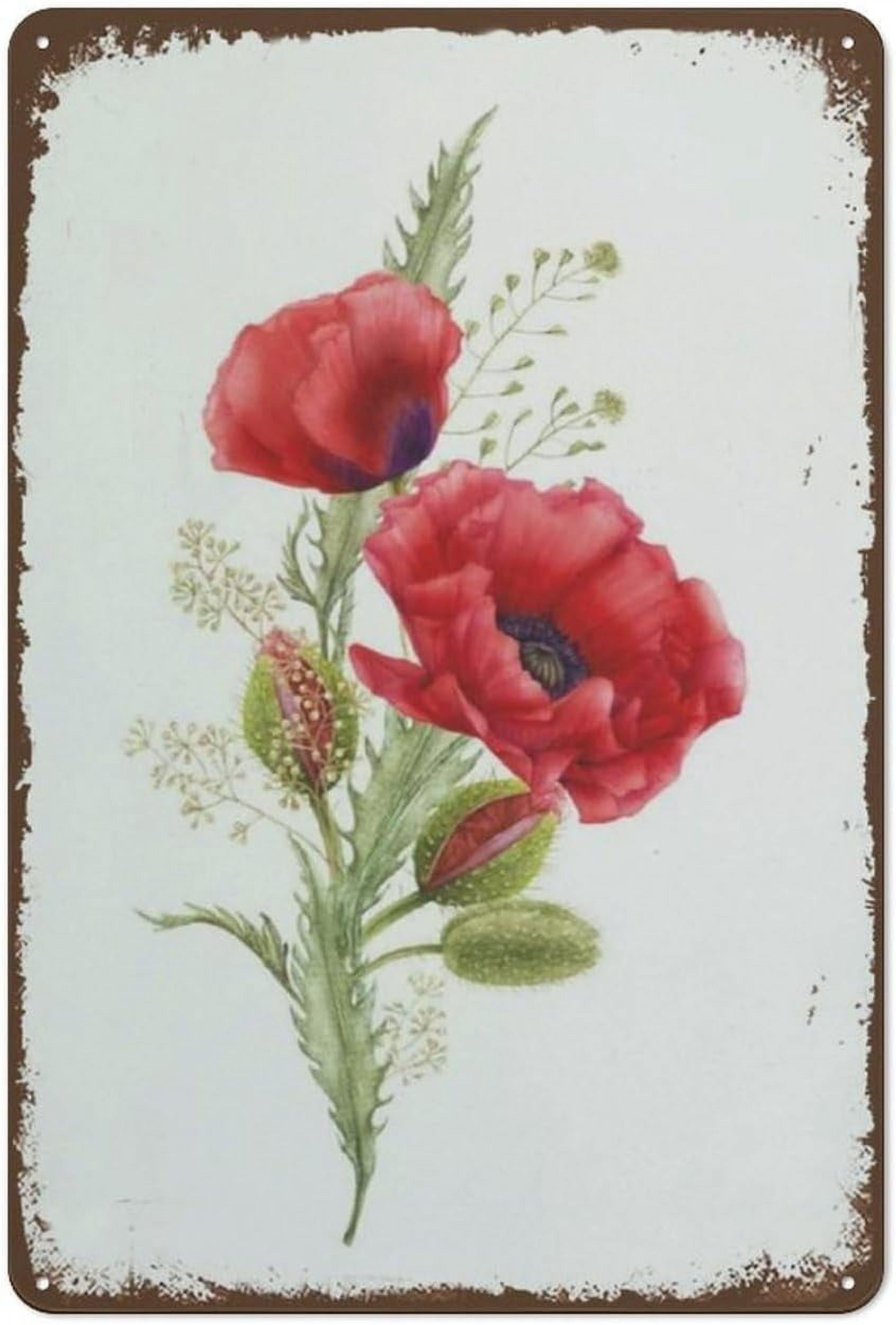 Vintage Metal Tin Sign Red Poppy Botanical Floral Spring Summer Floral ...