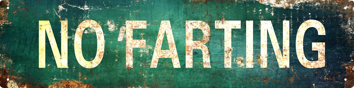 Vintage Metal Tin Sign Retro No Farting Signs Stylish Wall Art Plaques ...