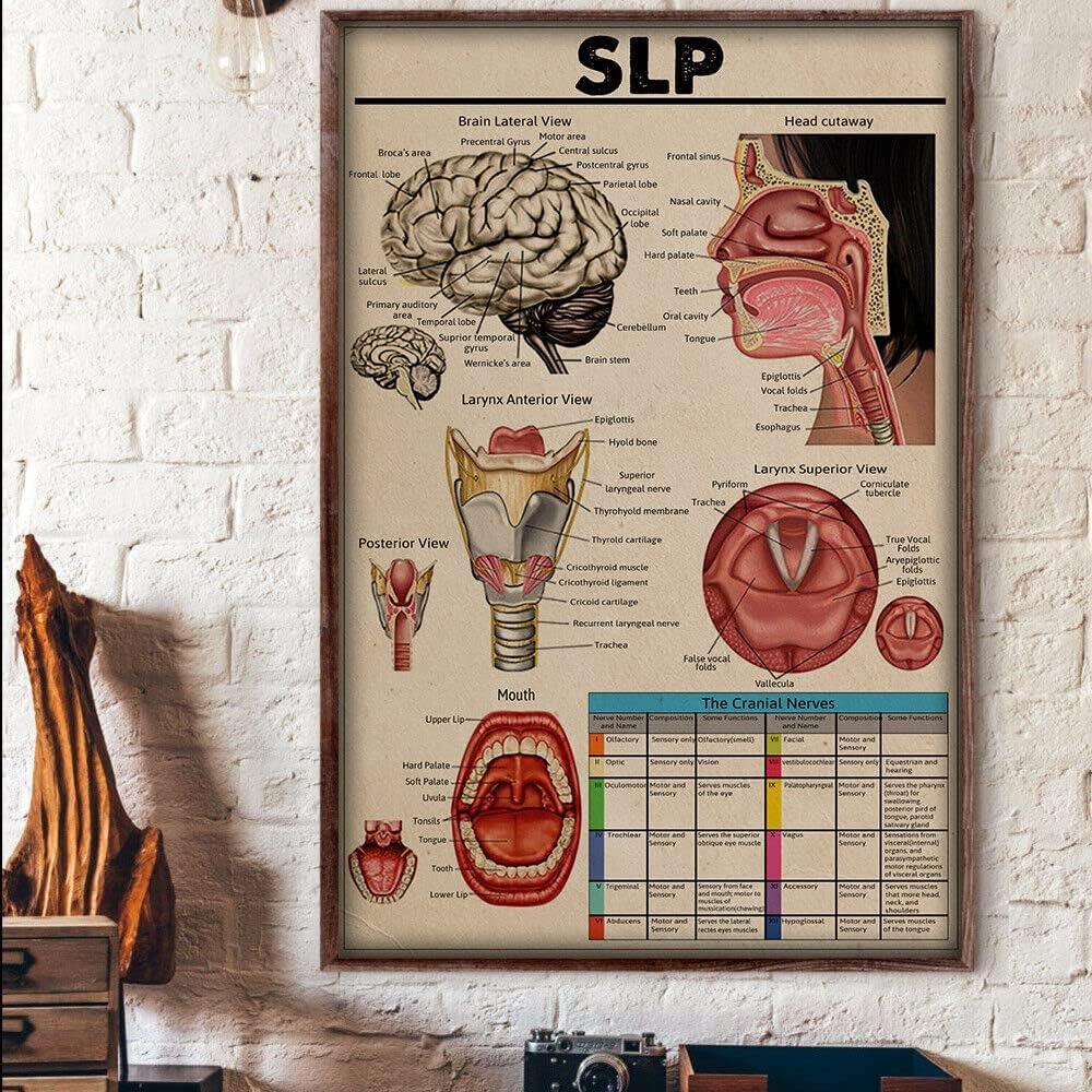 Vintage Metal Tin Sign SLP Speech Language Pathologist Brain Lateral ...