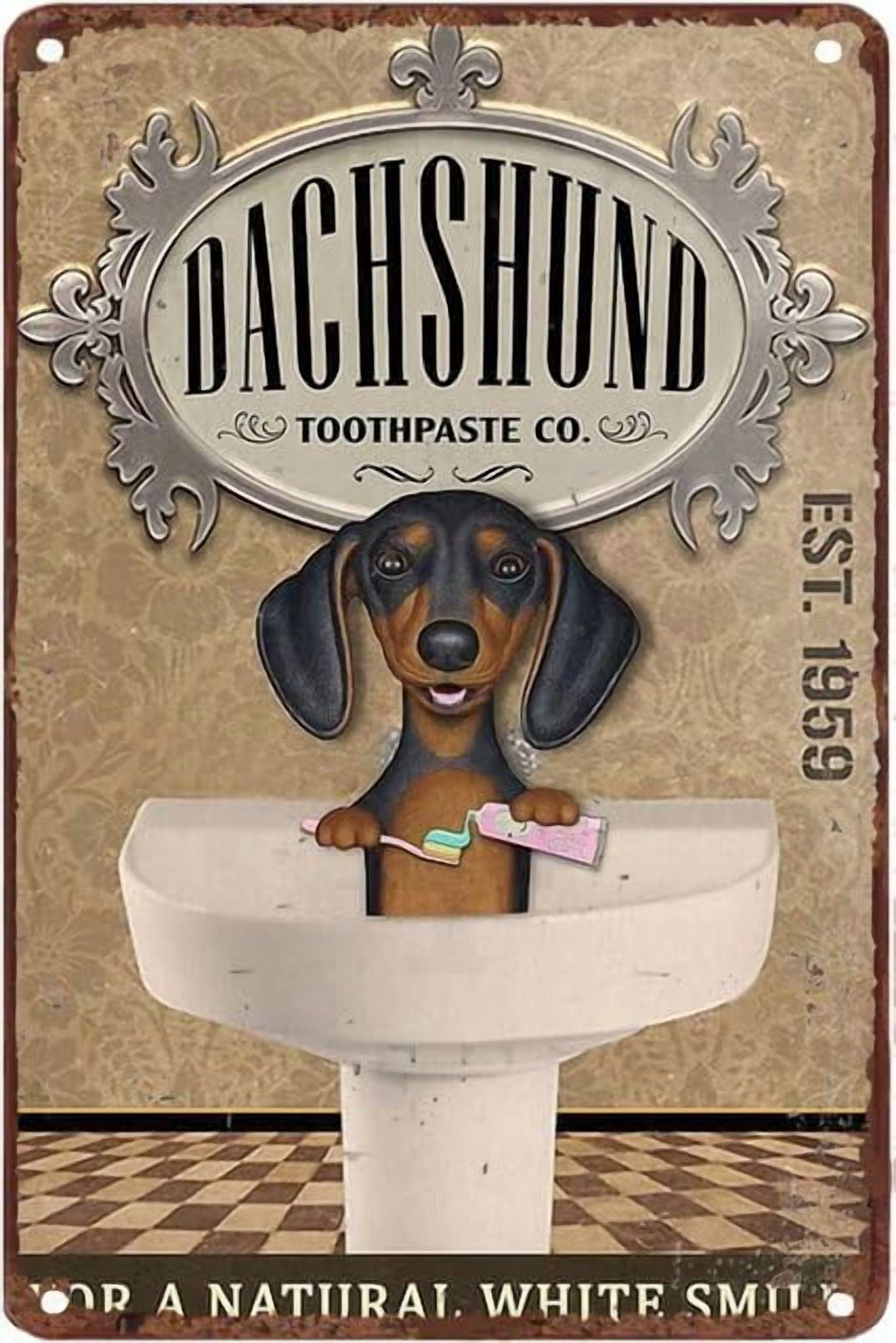 Vintage Metal Tin Signs Dachshund Brushing Teeth A Natural White Smile ...
