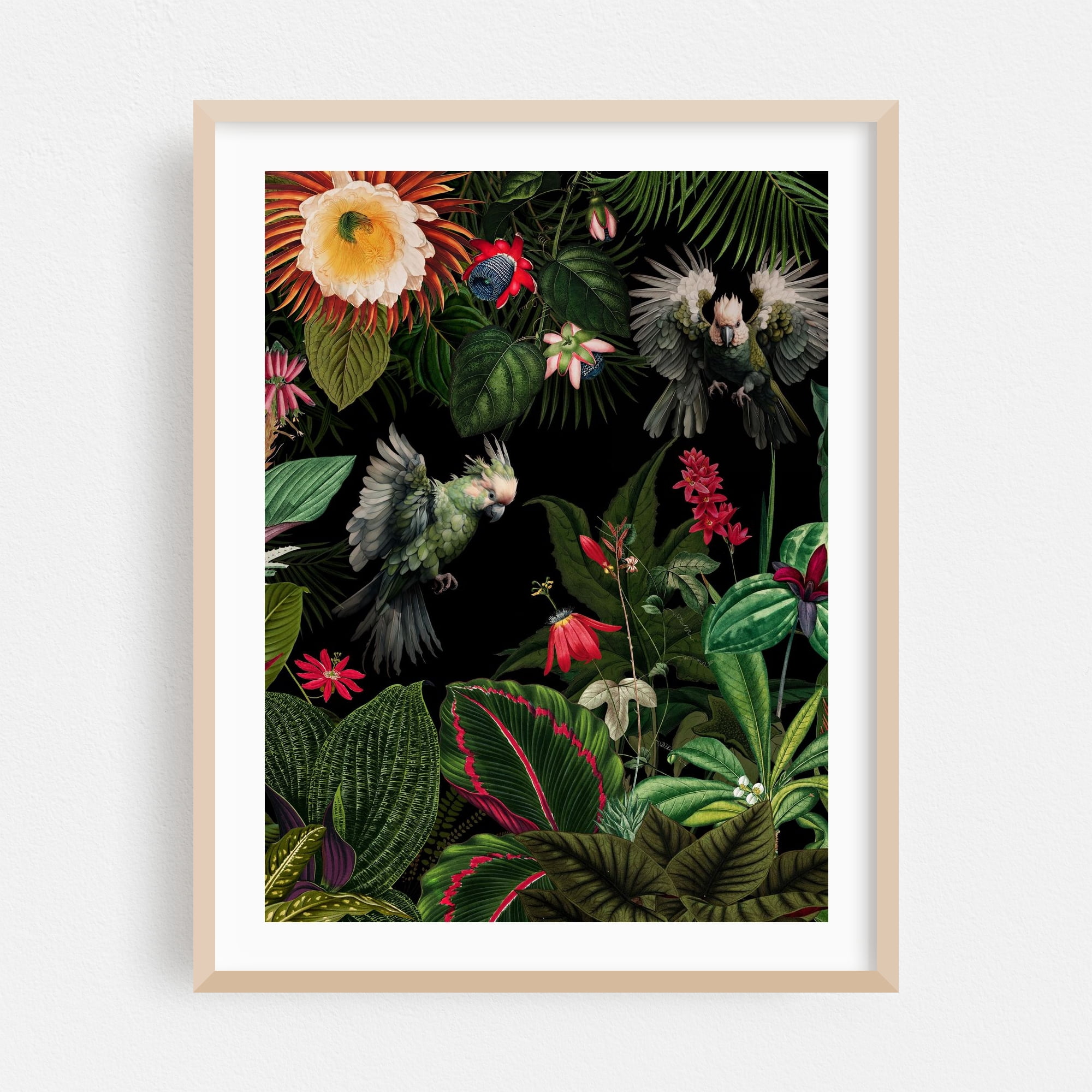 Vintage Midnight Tropical Jungle With Exotic Birds 1 - Illustration ...