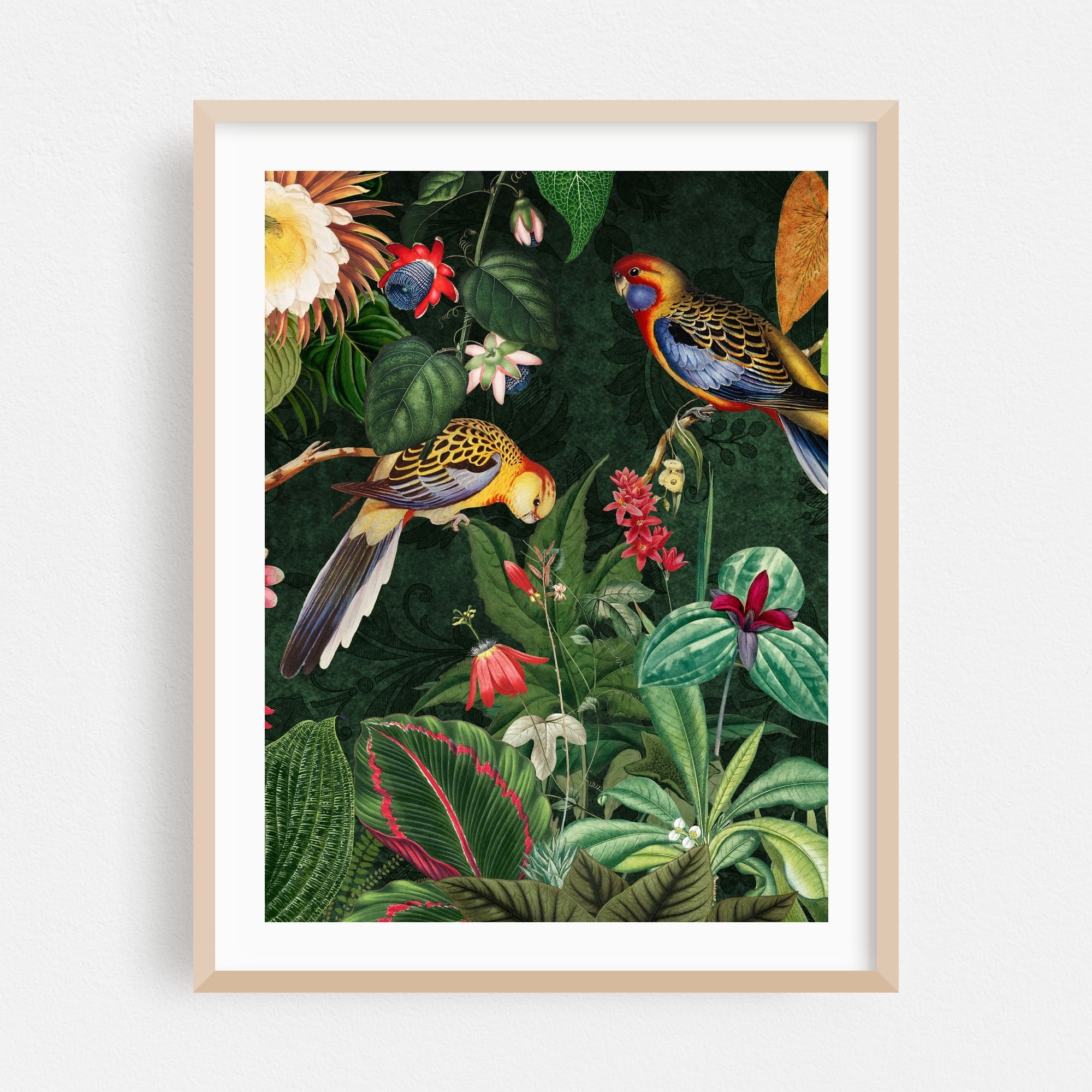 Vintage Midnight Tropical Jungle With Exotic Birds 2 - Illustration ...