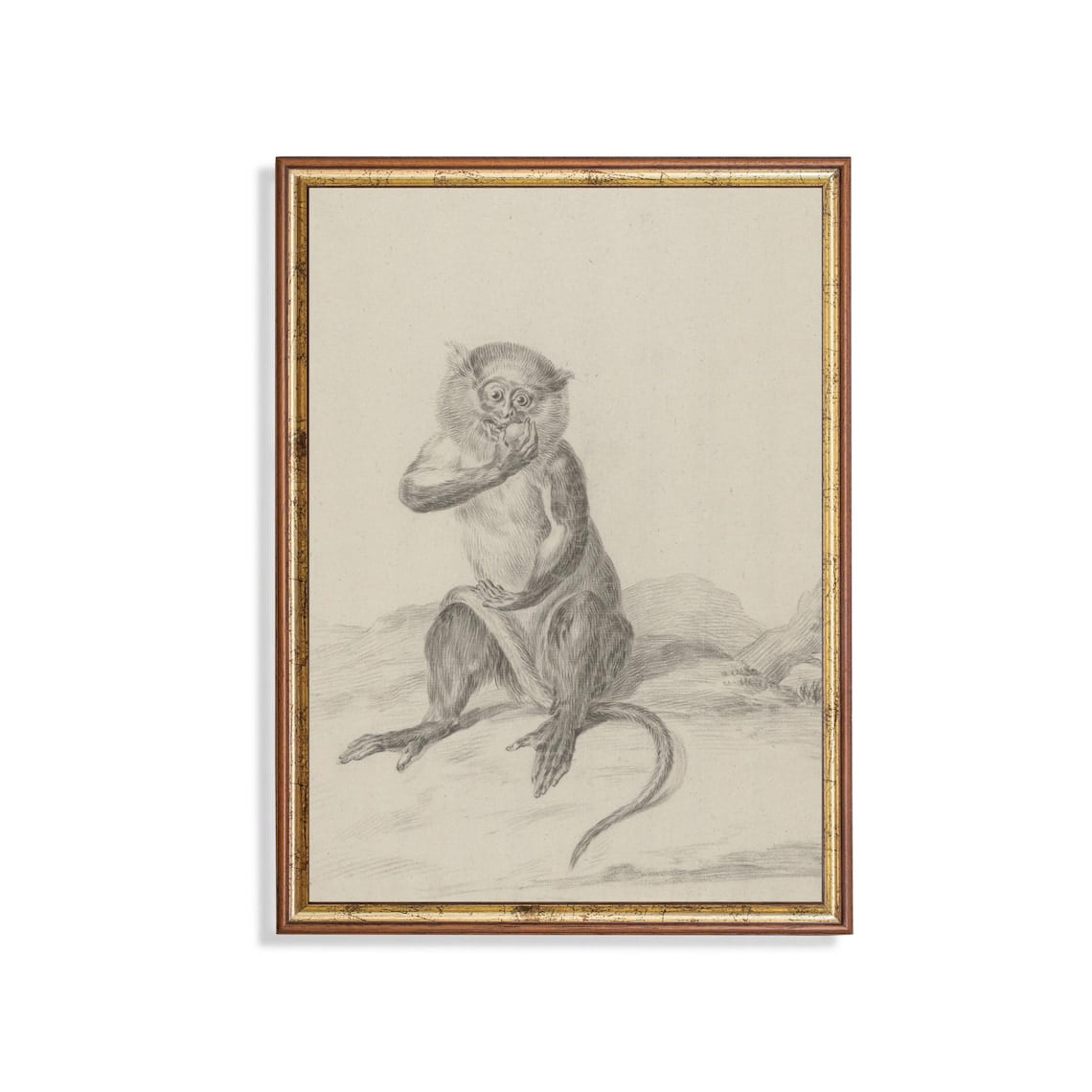 Vintage Monkey Poster Antique Zoological Art Curiosity Cabinet UNFRAMED ...