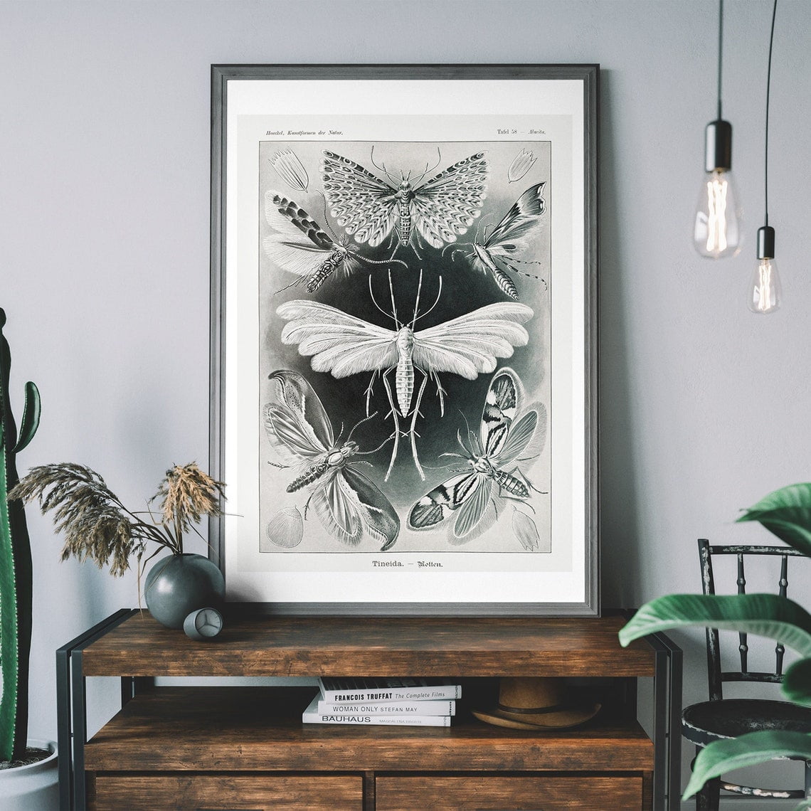 Vintage Moth Art Print, Antique Insect Illustration, Moth Wall Chart ...