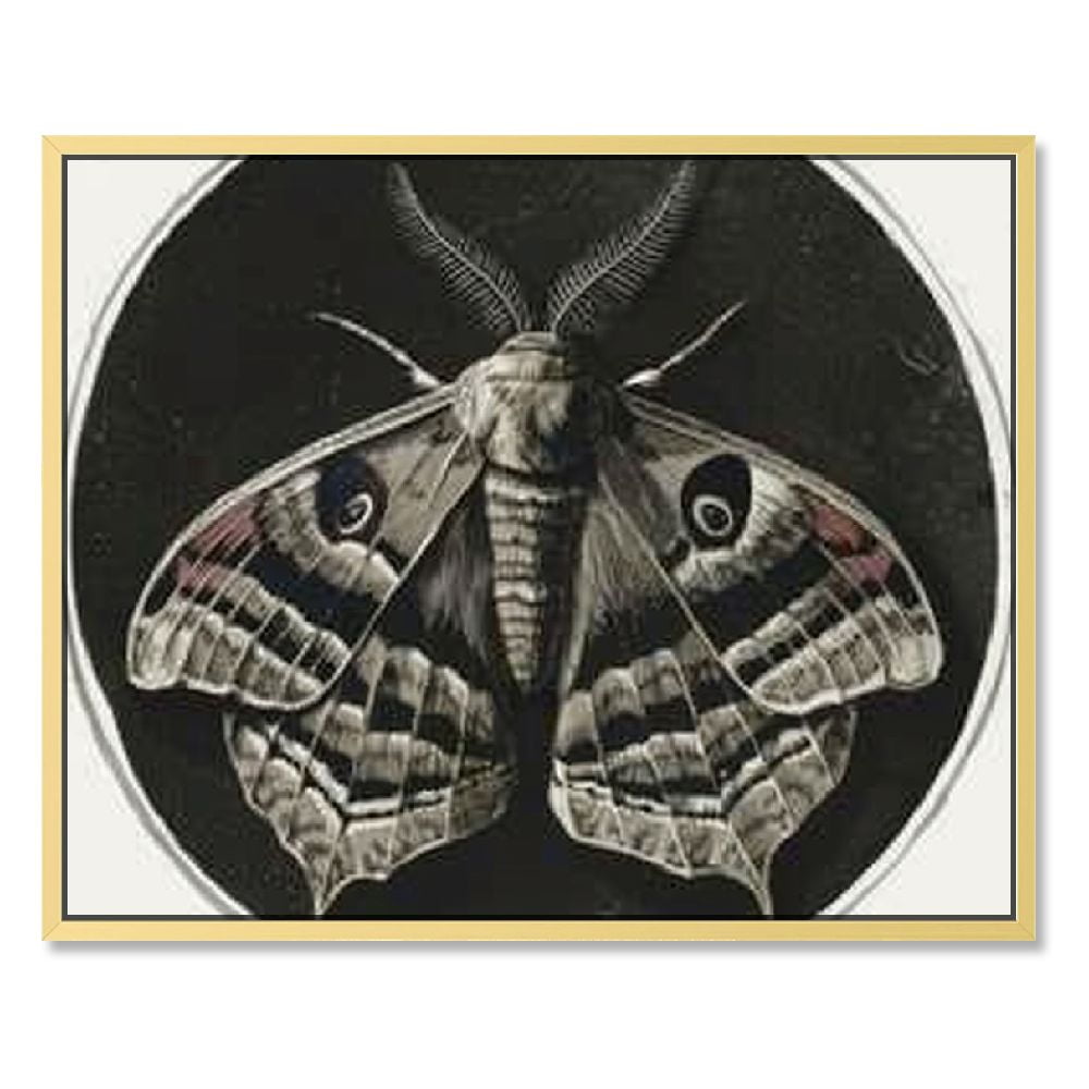 Vintage Moth Poster - Retro Rustic Moth Print - Moody Butterfly Art ...