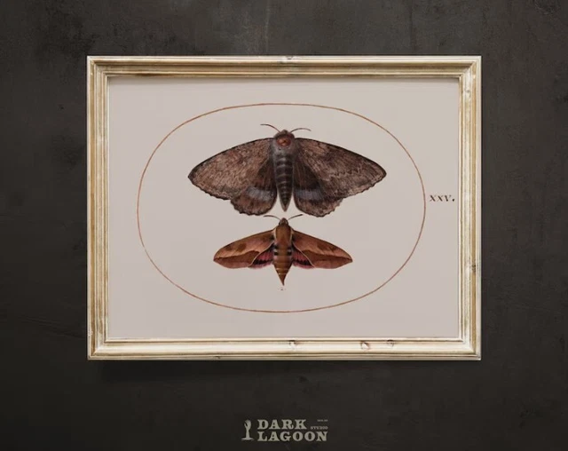 Vintage Moths, Vintage Insects, Cottagecore, Dark Academia NO FRAMED ...