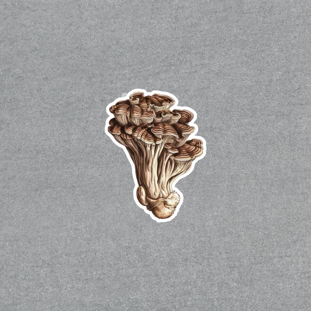 Vintage Mushroom Cluster Botanical Illustration Sticker - Brown Fungi ...