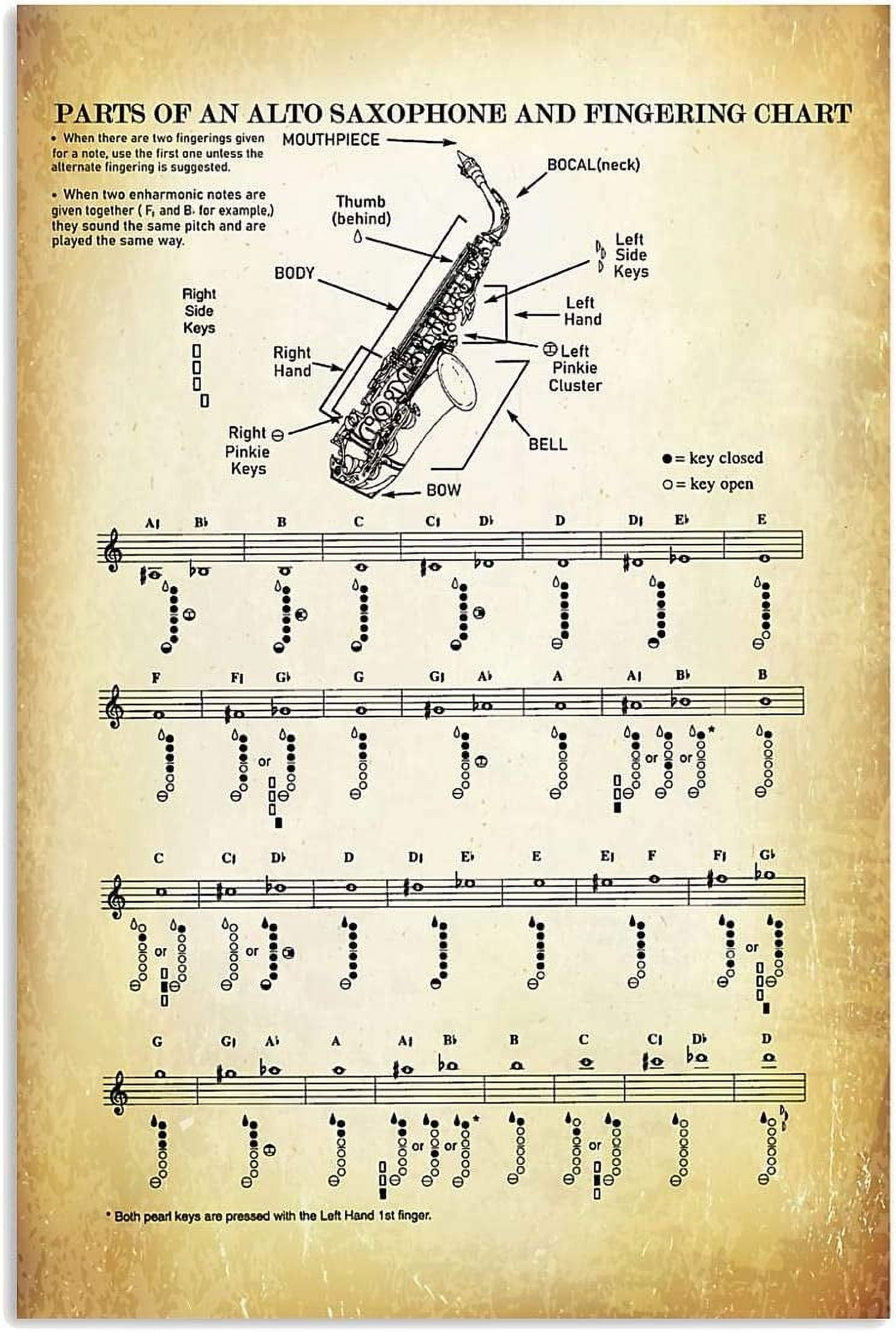 Vintage Music Classroom Decor Saxophone Knowledge Guide Metal Sign ...