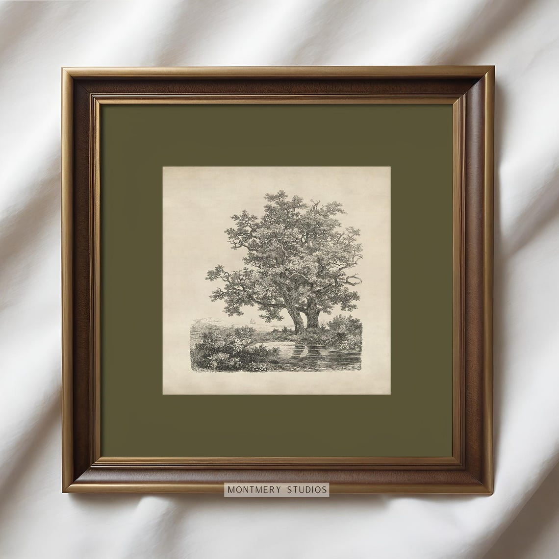 Vintage Oak Tree Etching, Square Poster with Sage Green Mat, Antique ...