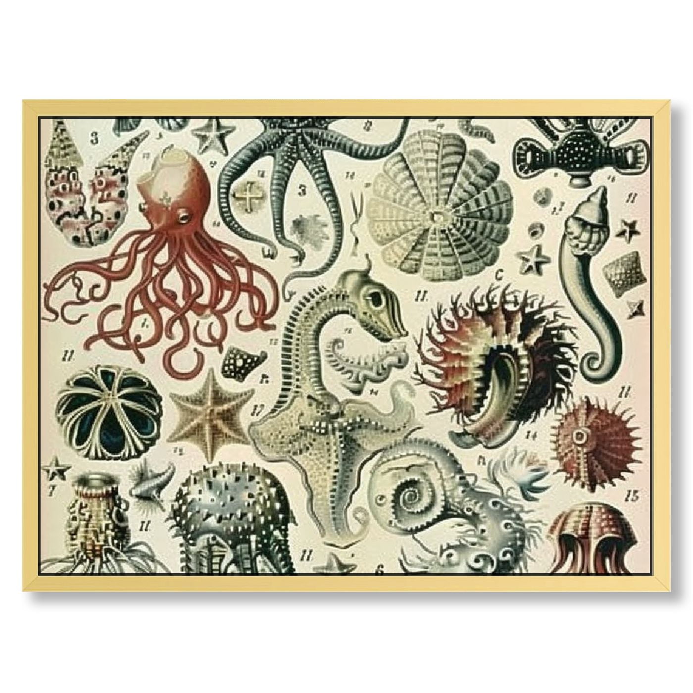 Vintage Ocean Poster - Ocean Life Jellyfish Marine Biology Science Wall ...