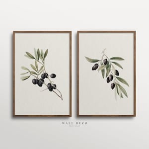 Vintage Olive Branch Print Set: Farmhouse Kitchen Botanical Art ...
