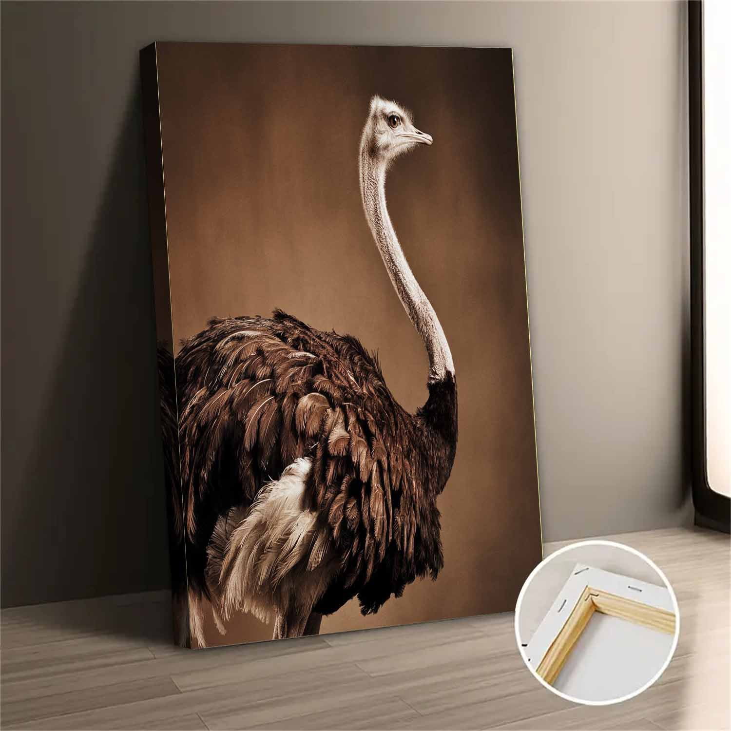 Vintage Ostrich Canvas Wall Art Print for Bedroom Living Room Home ...