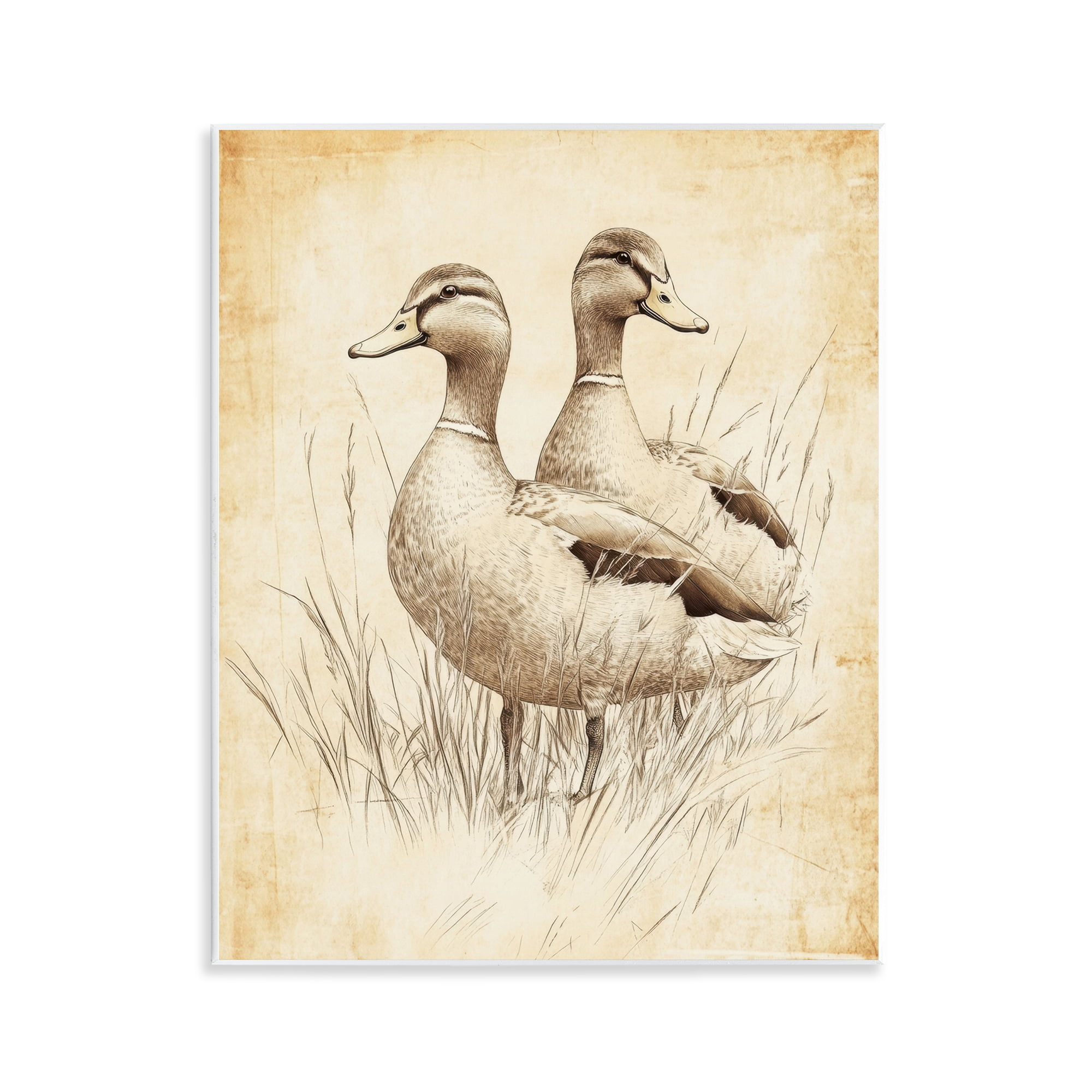 Stupell Industries Vintage Pair of Ducks Wall Plaque Art, design by ...