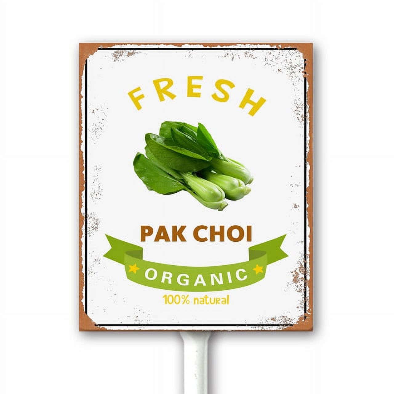 Vintage Pak Choi Metal Sign Outdoor Plant Label Funny Vegetable Garden ...