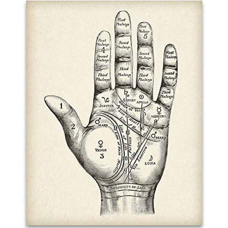 palmistry chart