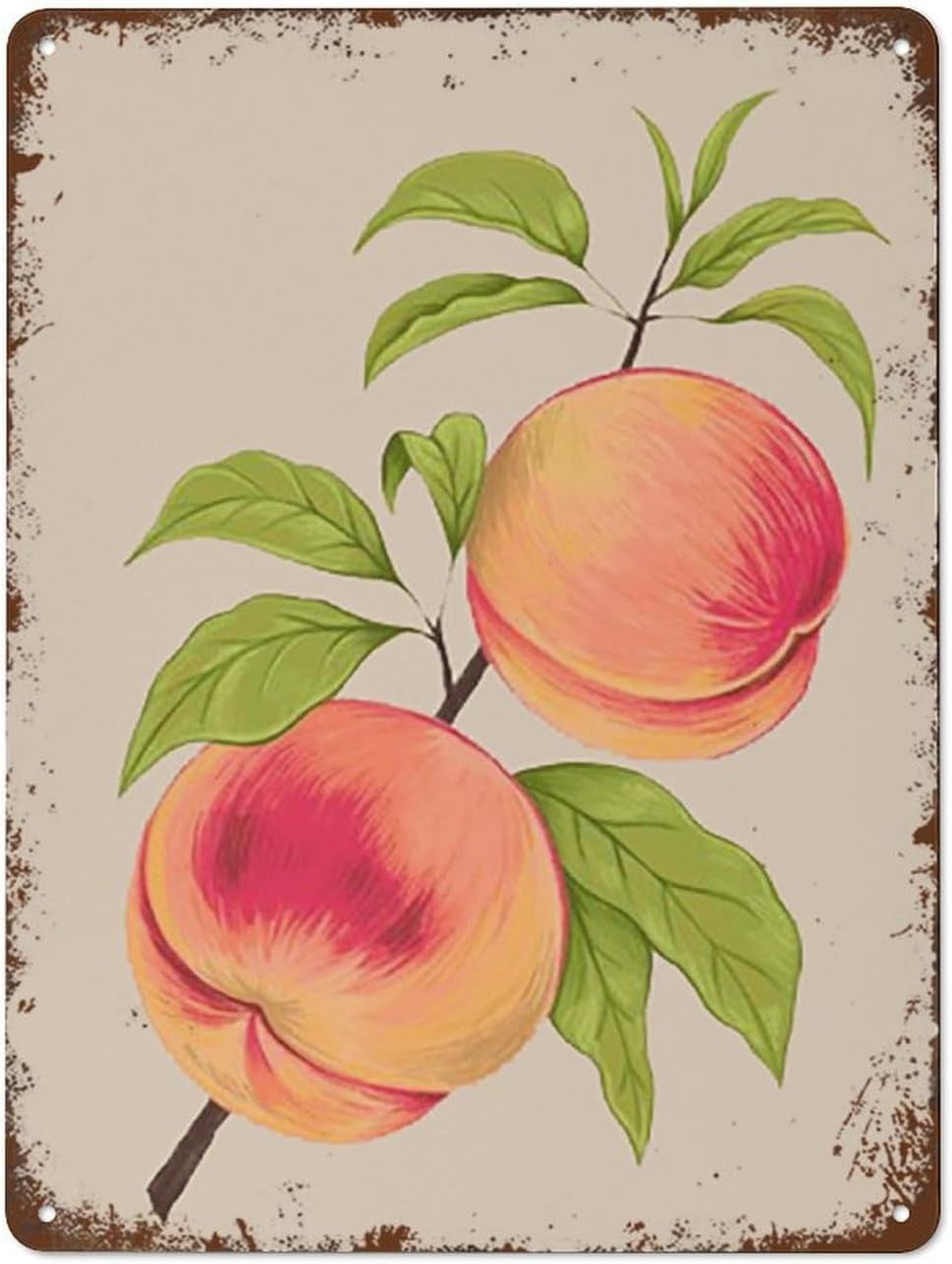 Vintage Peach Wall Art Peach Art Peach Botanical Drawing Fruit Art Wall ...