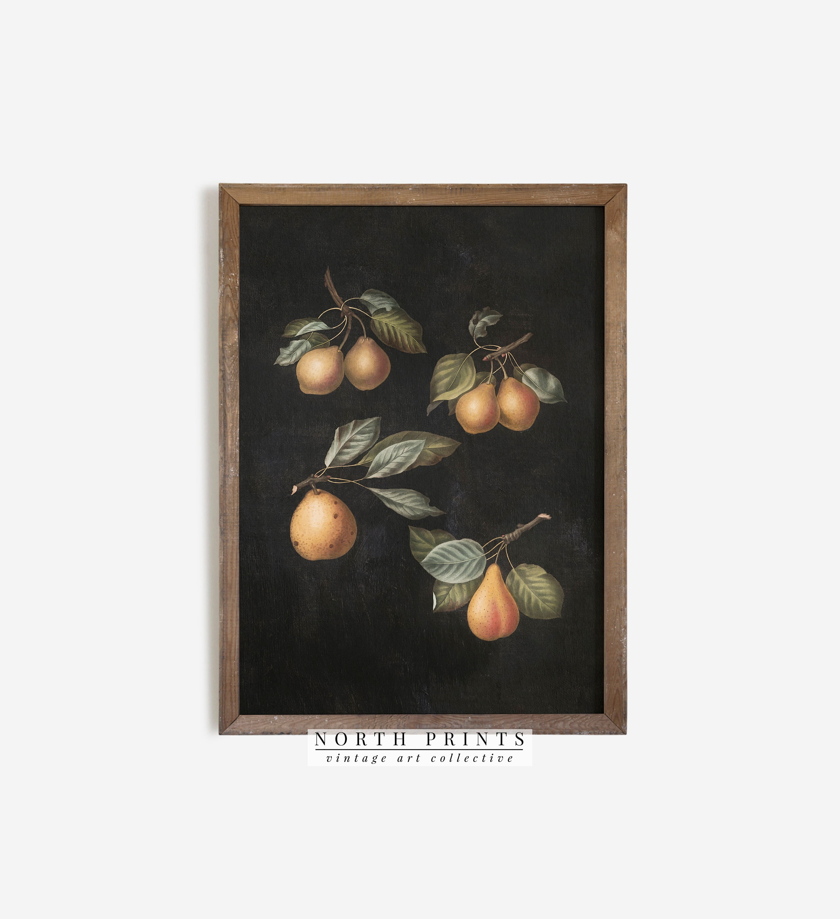 Vintage Pear : Moody Kitchen Fruit Print 1288 UNFRAMED Poster, Wall Art ...