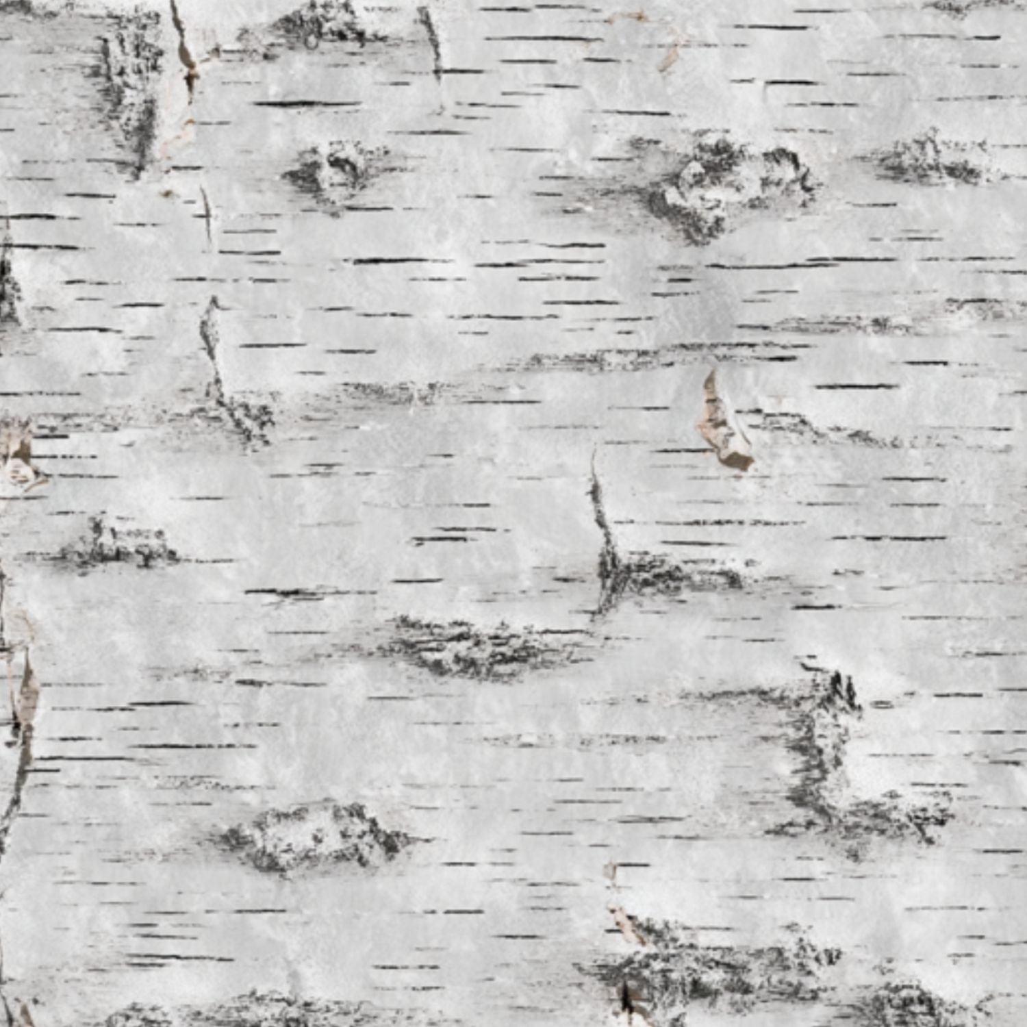 Vintage Peel and Stick Wallpaper White Birch Tree Bark Texture Natural ...