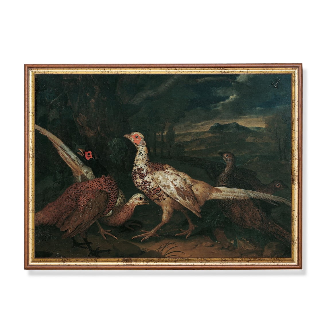 Vintage Pheasant Rustic Woodland Bird Art Poster Decor For Living Room ...