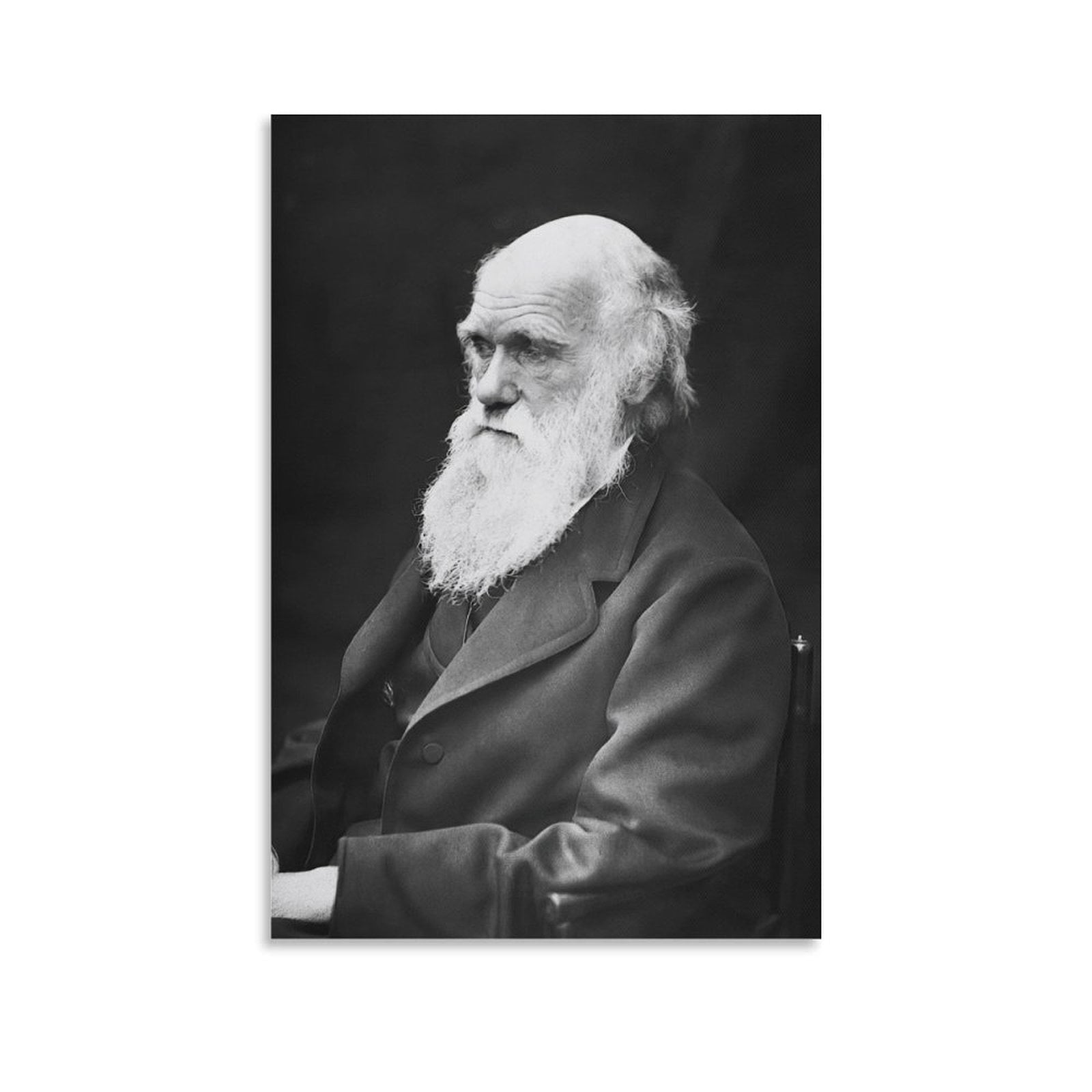 Vintage Photo of English Naturalist And Geologist, Charles Darwin Poster Painting On Canvas Wall ...