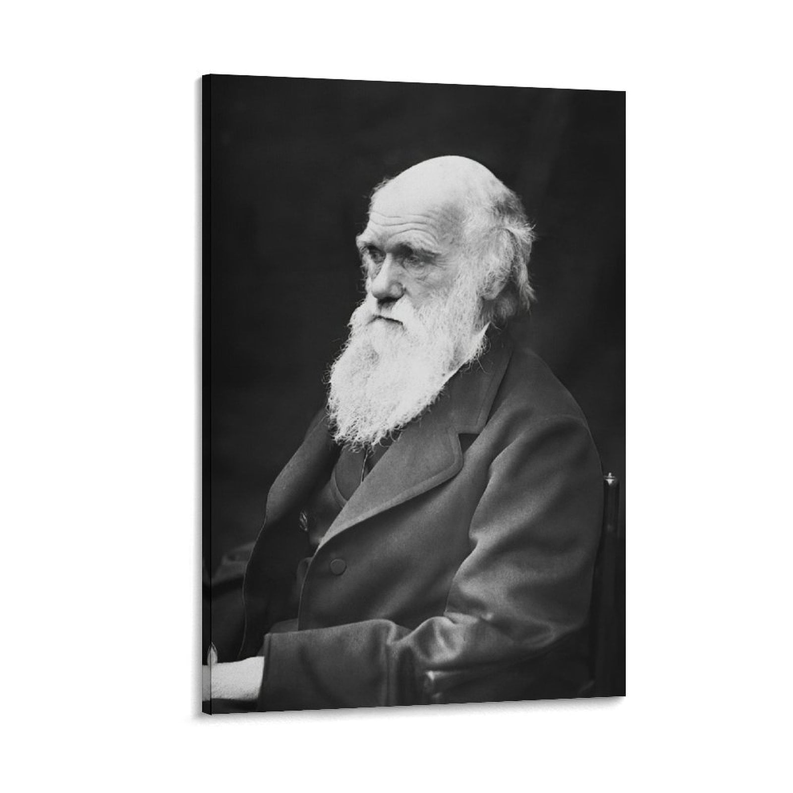 Vintage Photo of English Naturalist And Geologist, Charles Darwin ...