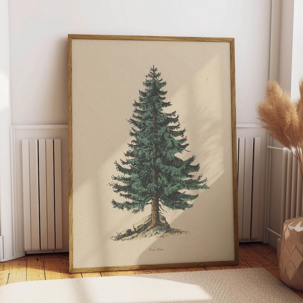 Vintage Pine Tree Drawing Print Fine Art Spruce Poster Cabin Cottage ...
