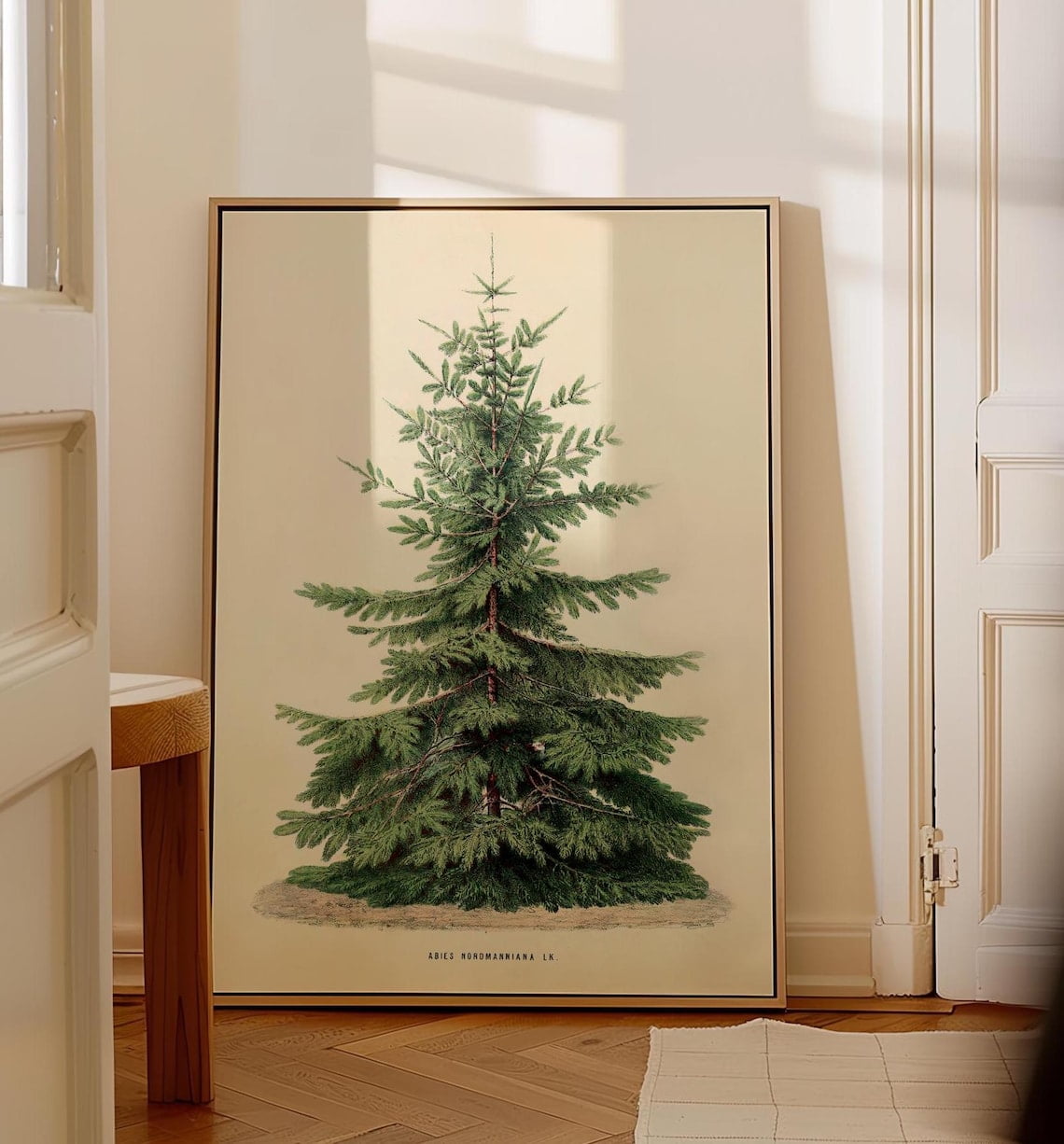 Vintage Pine Tree Poster: Moodybotanical Art, Unframed Poster Size 8x12 ...