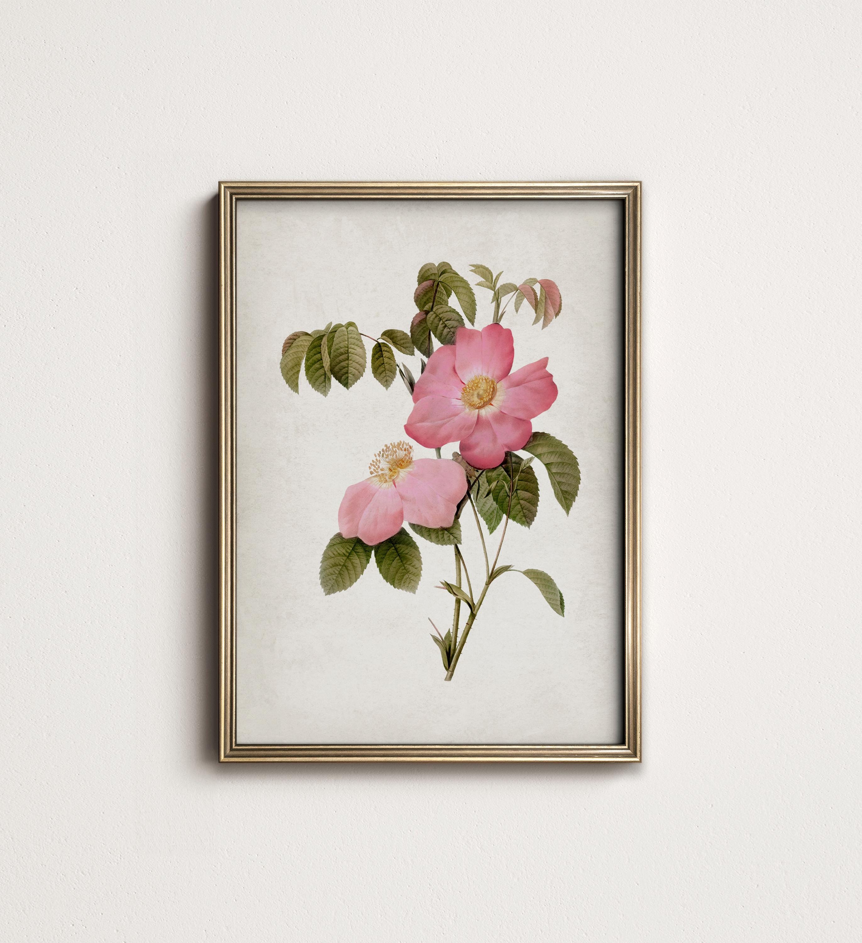 Vintage Pink Floral Print: French Farmhouse Wall Art (Printable) 8-191 ...