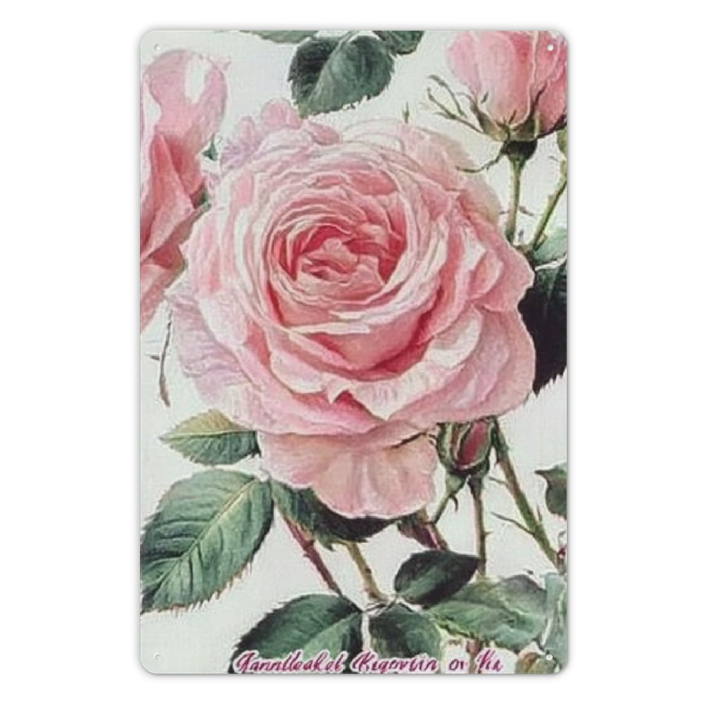 Vintage Pink Rose Wall Decor Tin Sign - French Country Victorian ...