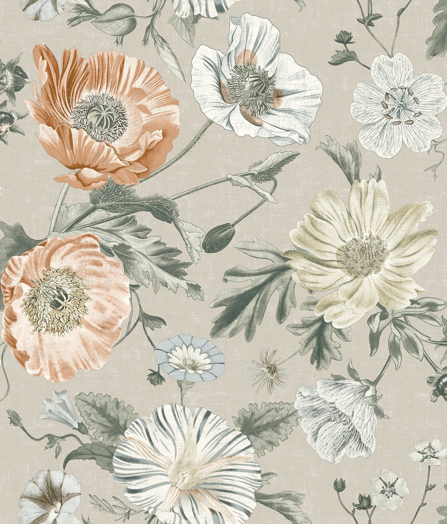 Vintage Poppy Peel & Stick Wallpaper - Walmart.com