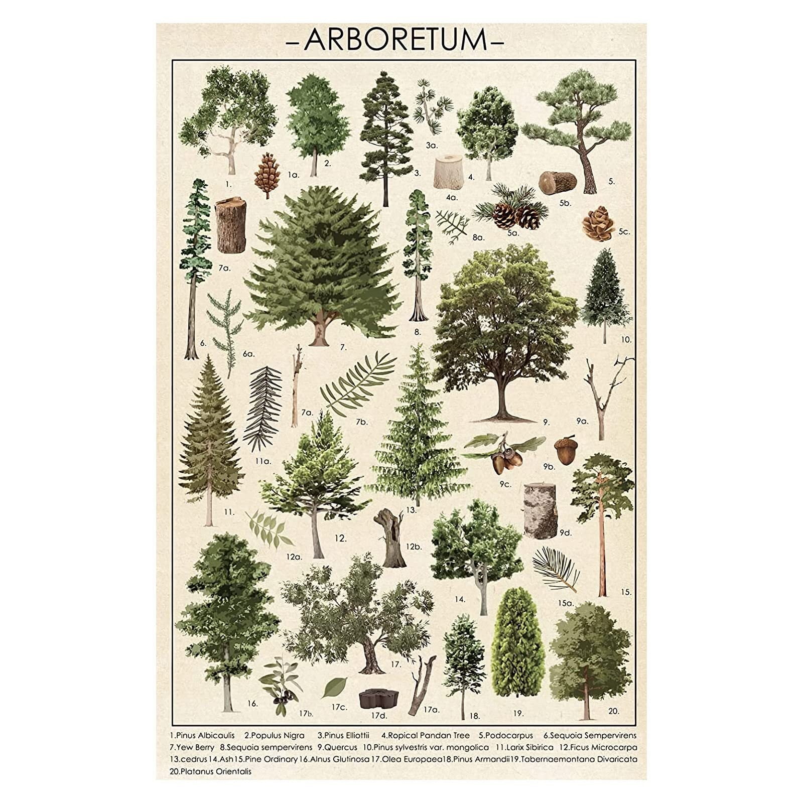 Vintage Poster Tree Wall Art Botanical Poster Plant Wall Art ...