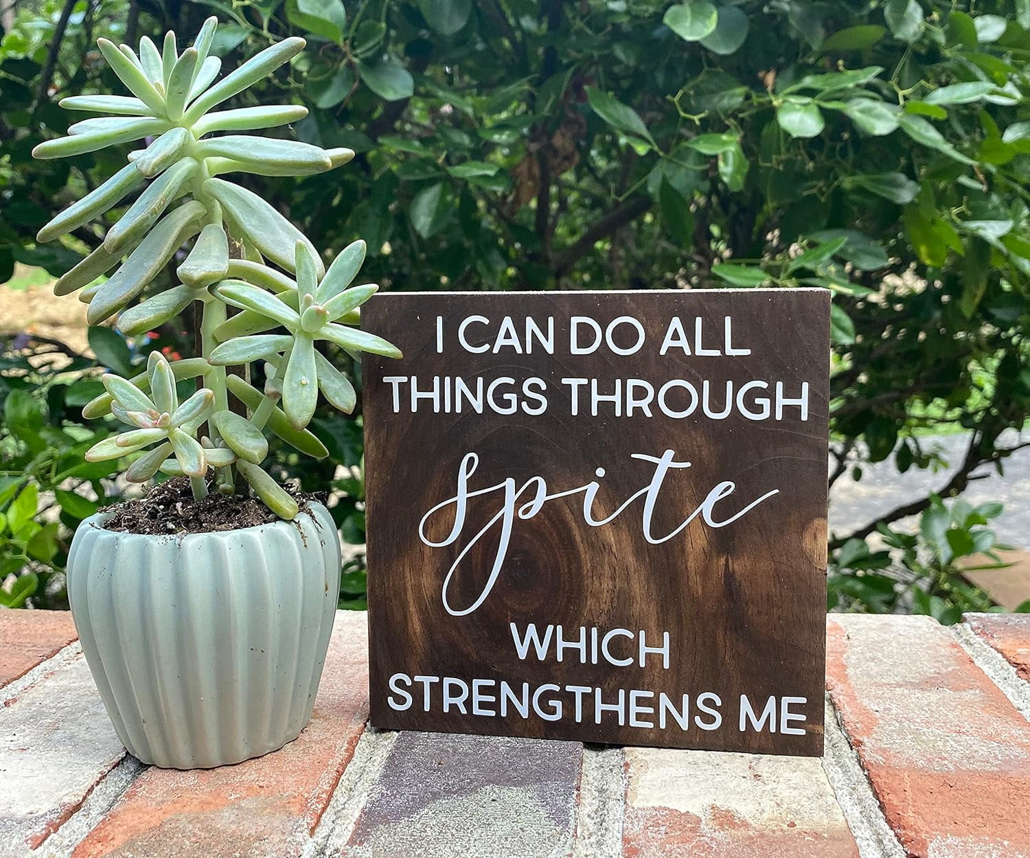 Vintage Primitive Funny Decor I Can Do All Things Through Spite Which ...