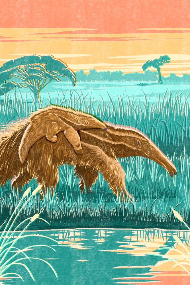 Vintage Print Press, Giant Anteater (12x18 Wall Art Poster, Room Decor ...