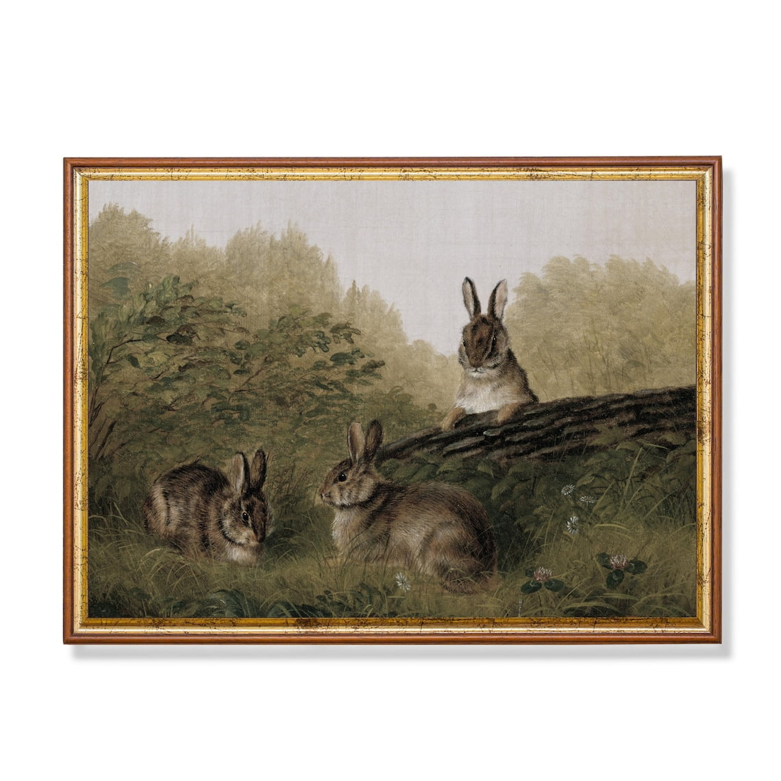 Vintage Rabbit Antique Animal Poster UNFRAMED Poster, 8x12 - Walmart.com