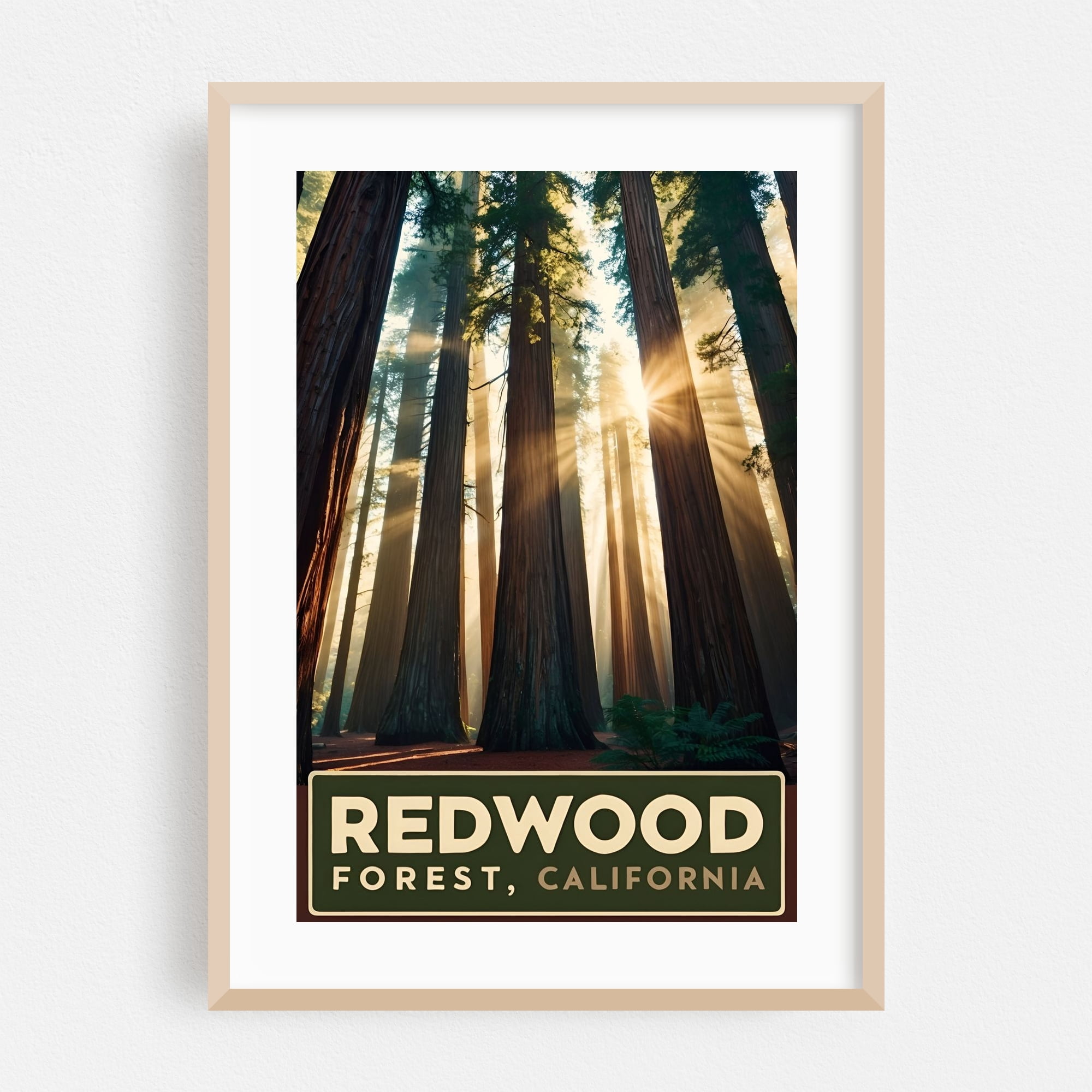 Vintage Redwood Forest Illustration | Iconic California Trees Art ...