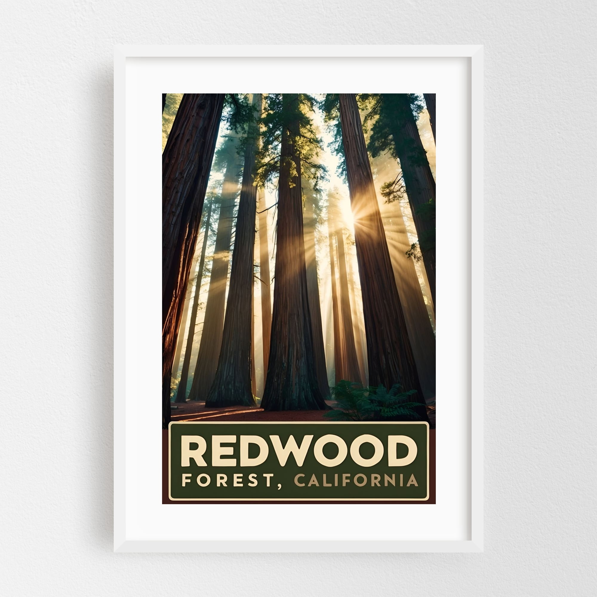 Vintage Redwood Forest Illustration | Iconic California Trees Art ...