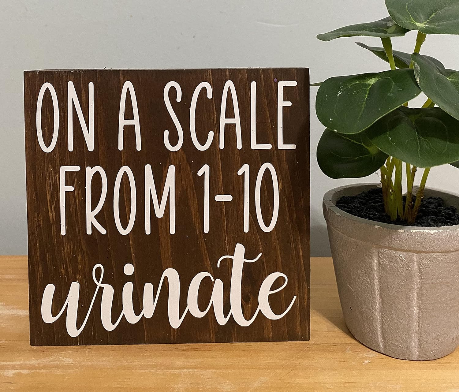 Vintage Retro Primitive Decor On A Scale From 1-10 Urinate Funny ...